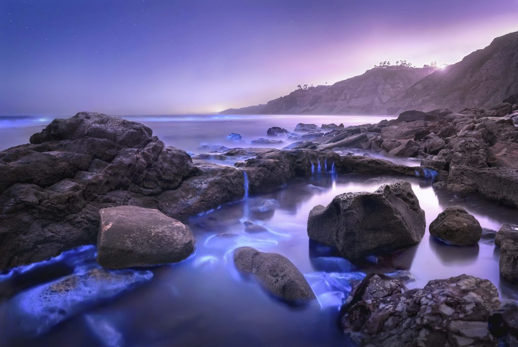 Bioluminescence Tide Pools - Nitro Pixels